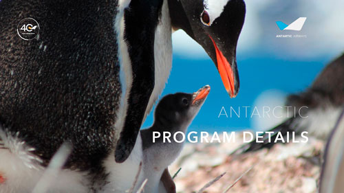 Antarctic Adventure - DAP Airlines